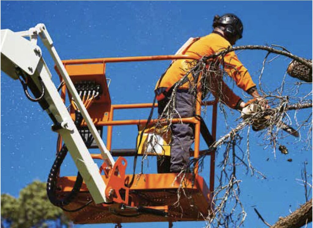 Mobility meets versatility in a trailer-mounted boom lift - Arbor Age