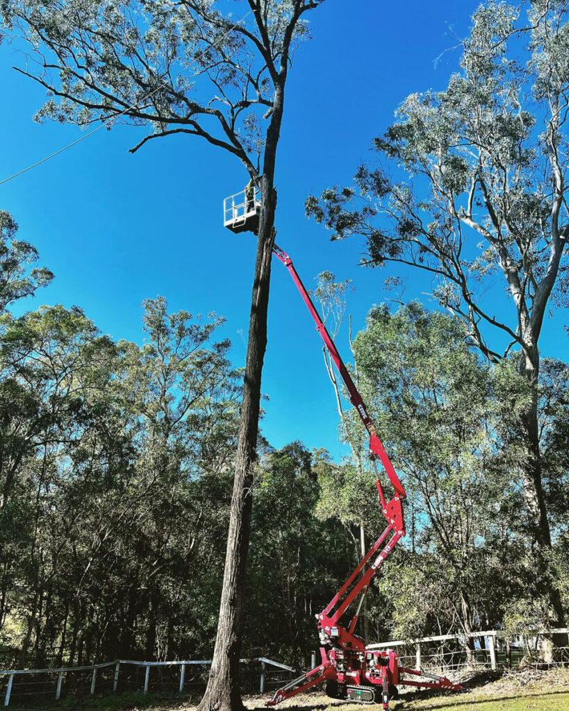 EWP safety: a 360-degree commitment from CMC - Arbor Age