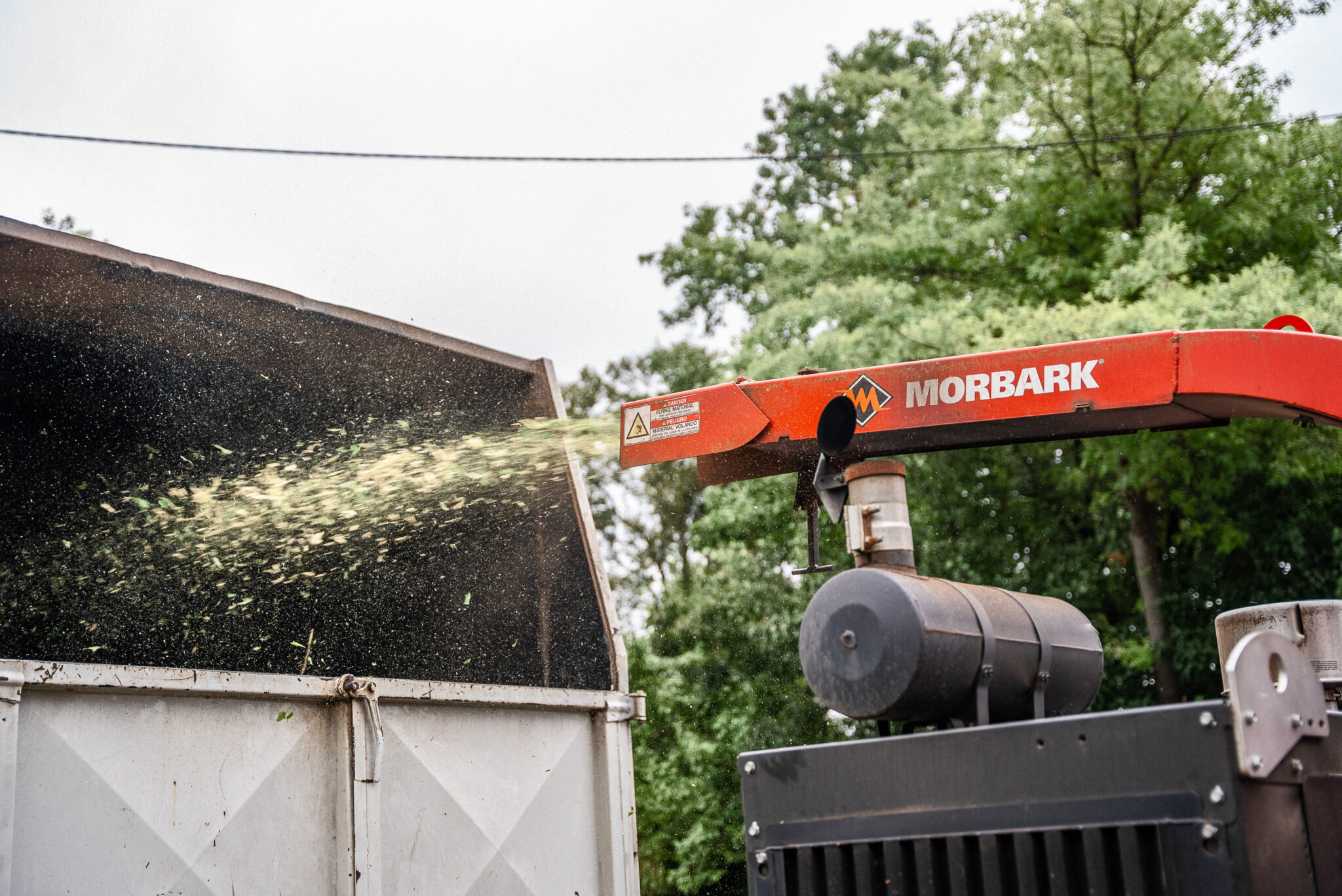Monitor and Lucas Tree Services - Arbor Age