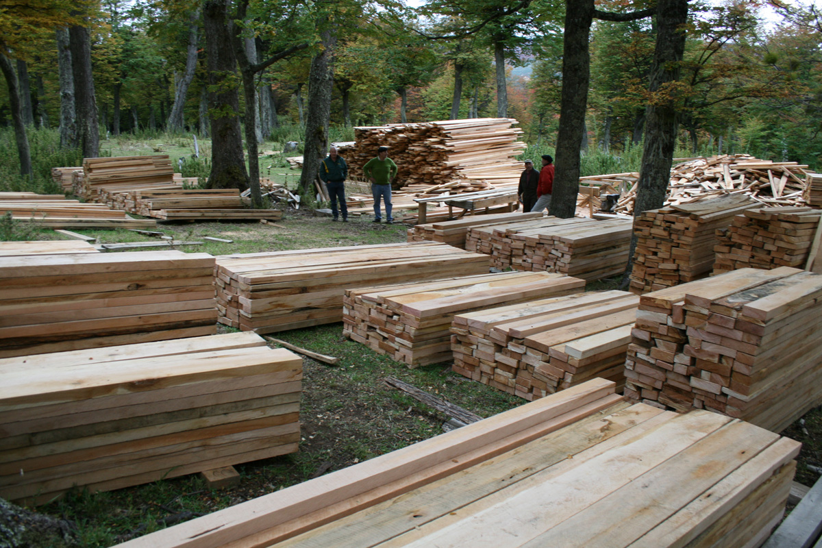 Lucas Mill 30th anniversary - Arbor Age