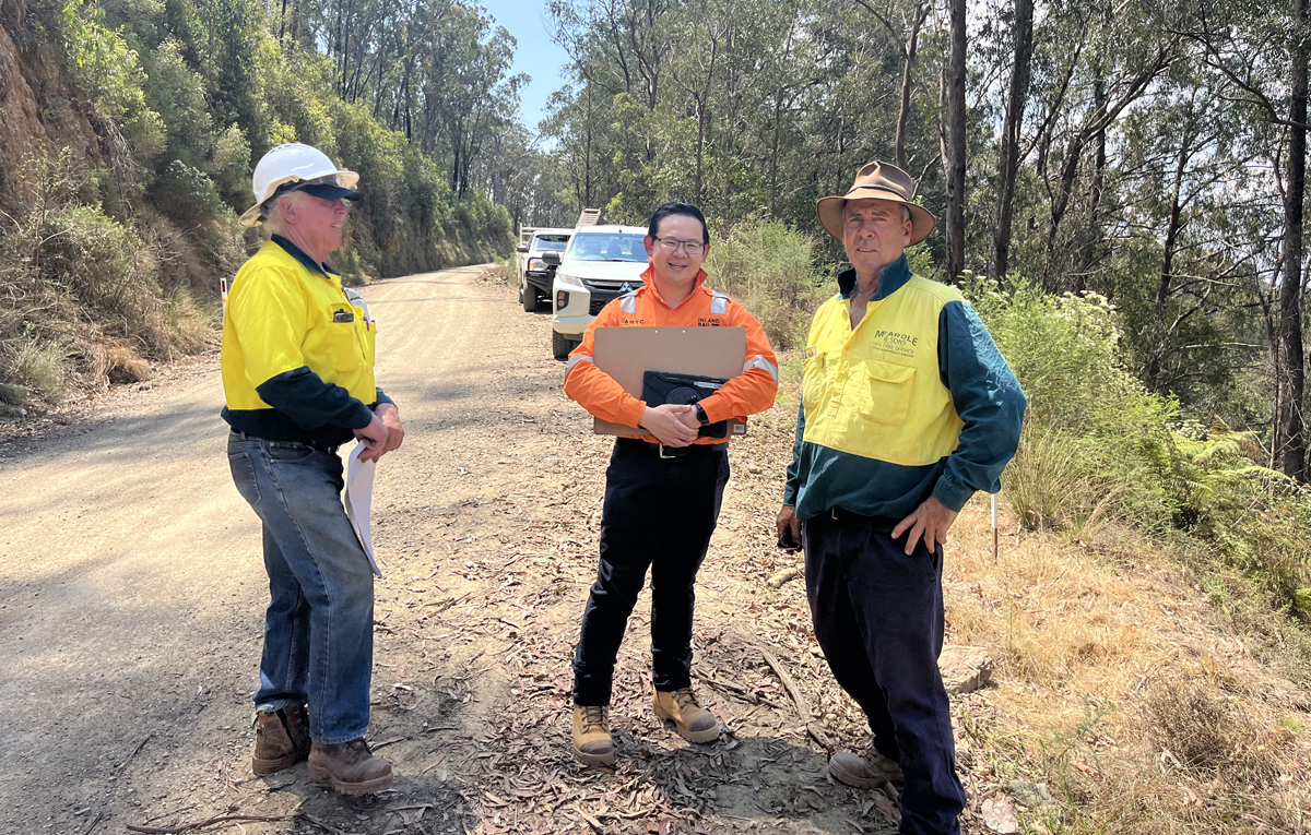 NSW Code of Practice for tree amenity - Arbor Age