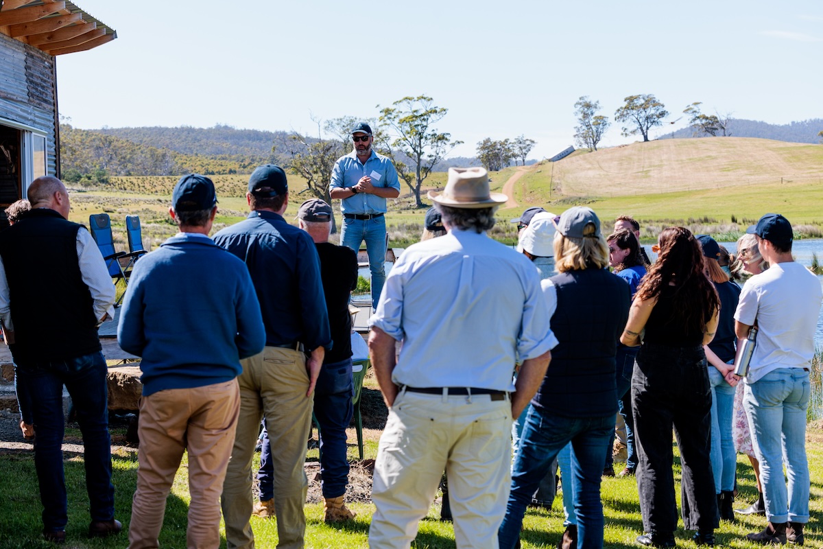 One million trees planted and appeals for more farmers to get on board ...