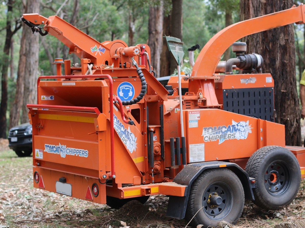 Tomcat: the roots of innovation - Arbor Age