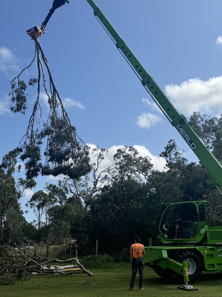 Merlo Roto 50.26 and Advance Tree Works - Arbor Age