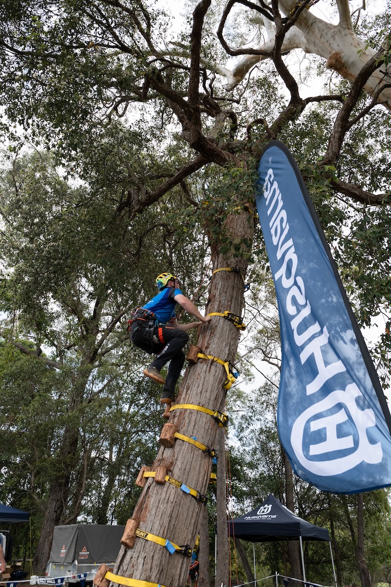Competition climbing at new heights - Arbor Age