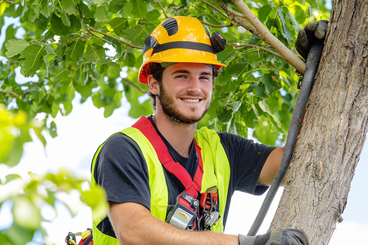 Young workers eToolkit - Arbor Age