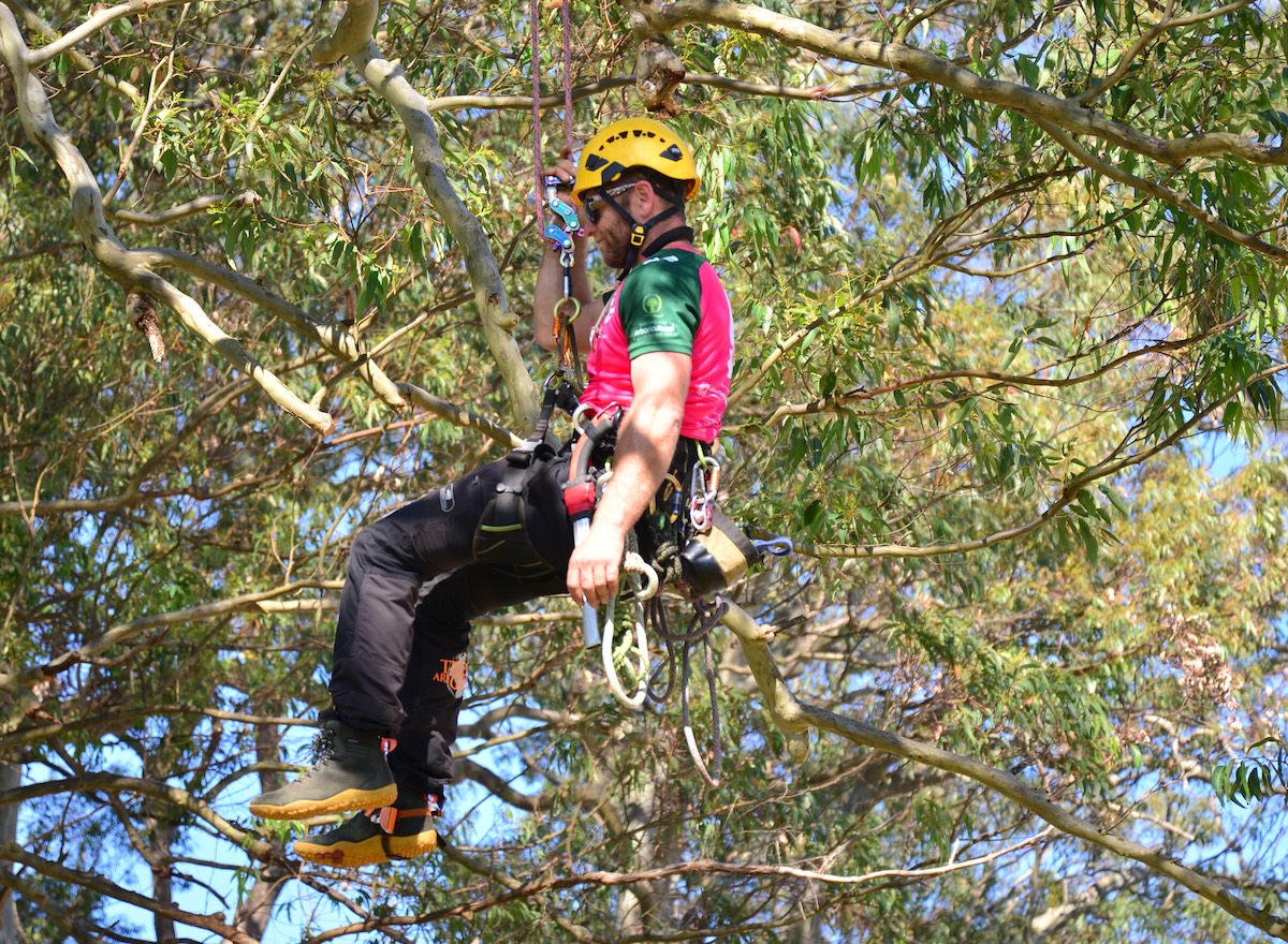 Climbing competitions are set to kick off - Arbor Age
