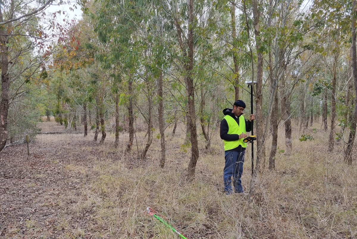 Using drones to safeguard forests - Arbor Age