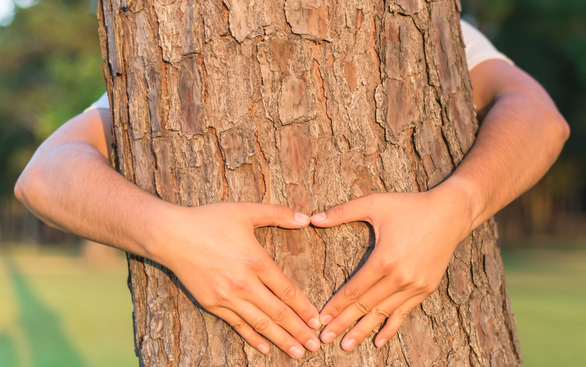 The health benefits of trees - Arbor Age