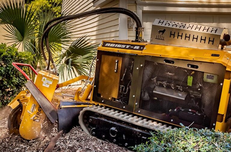 Rayco RG165T-R: power meets precision - Arbor Age