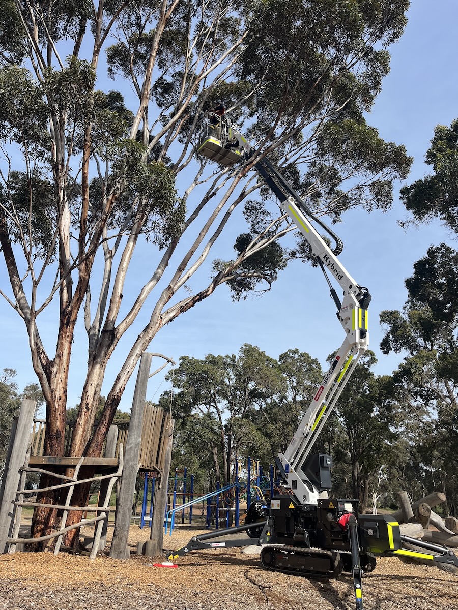 Arcadia Tree Care and the Monitor 1890 - Arbor Age