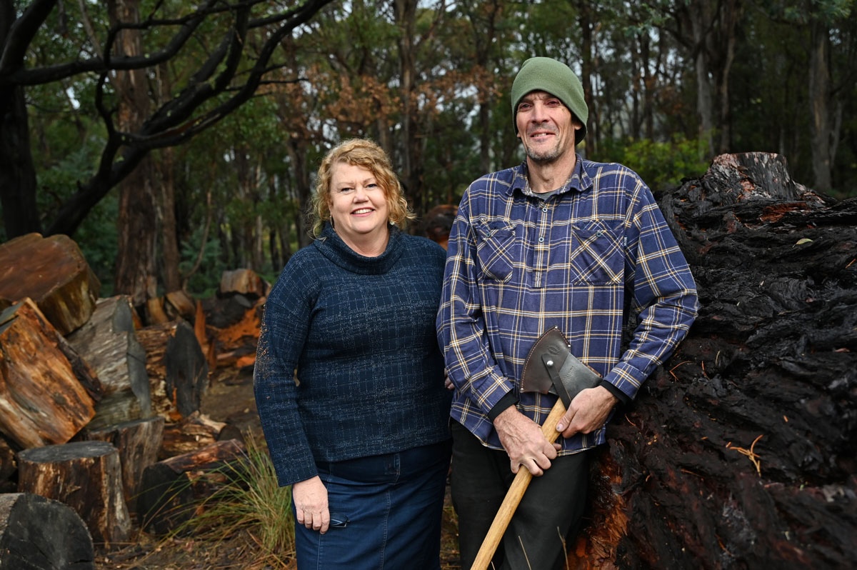 Giant sequoias to be remembered in Hobart - Arbor Age